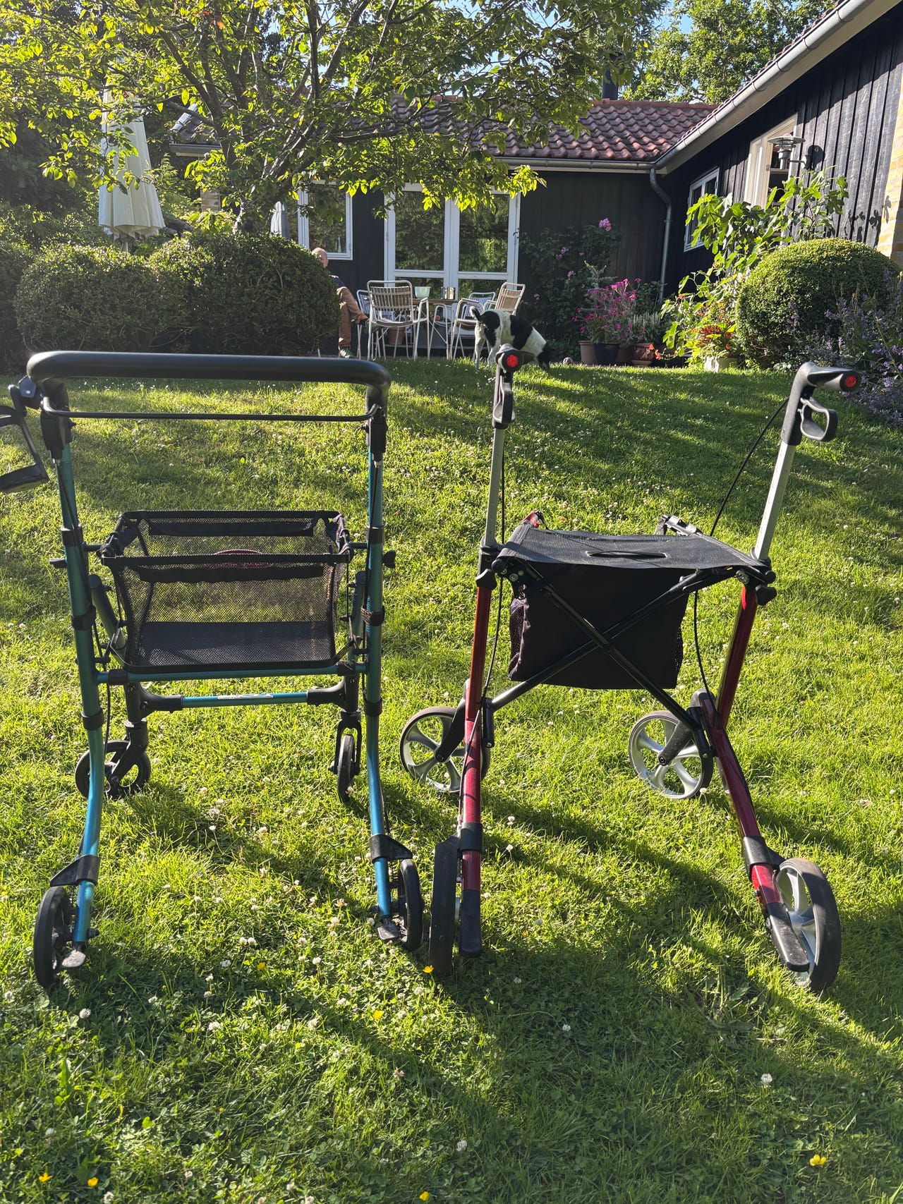 Rollator 2 stk. | DBA