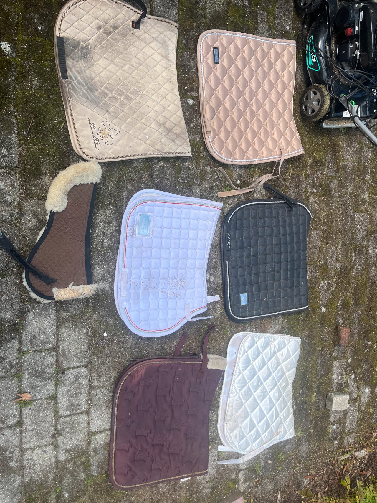 Dressur og spring underlag | DBA