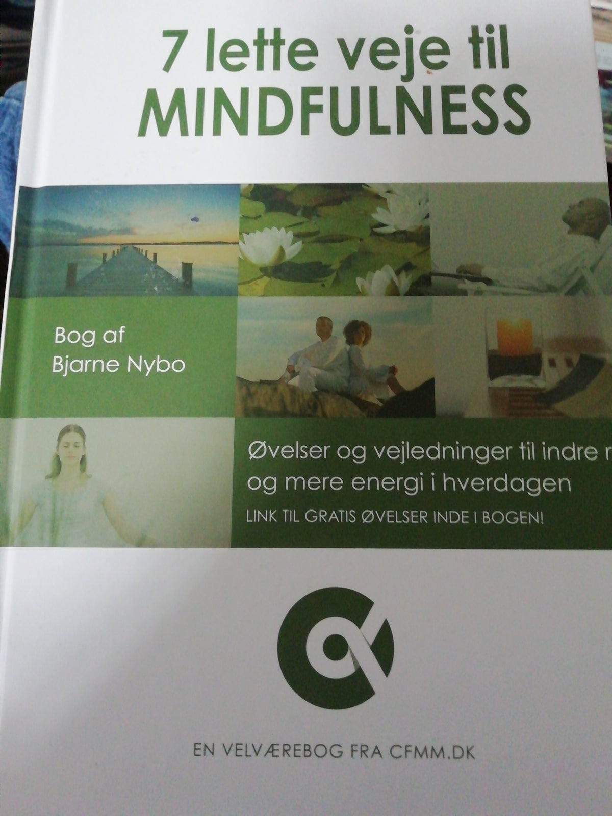 7 lette veje til mindfulness, Bjarne Nybo, emne: personlig udvikling | DBA