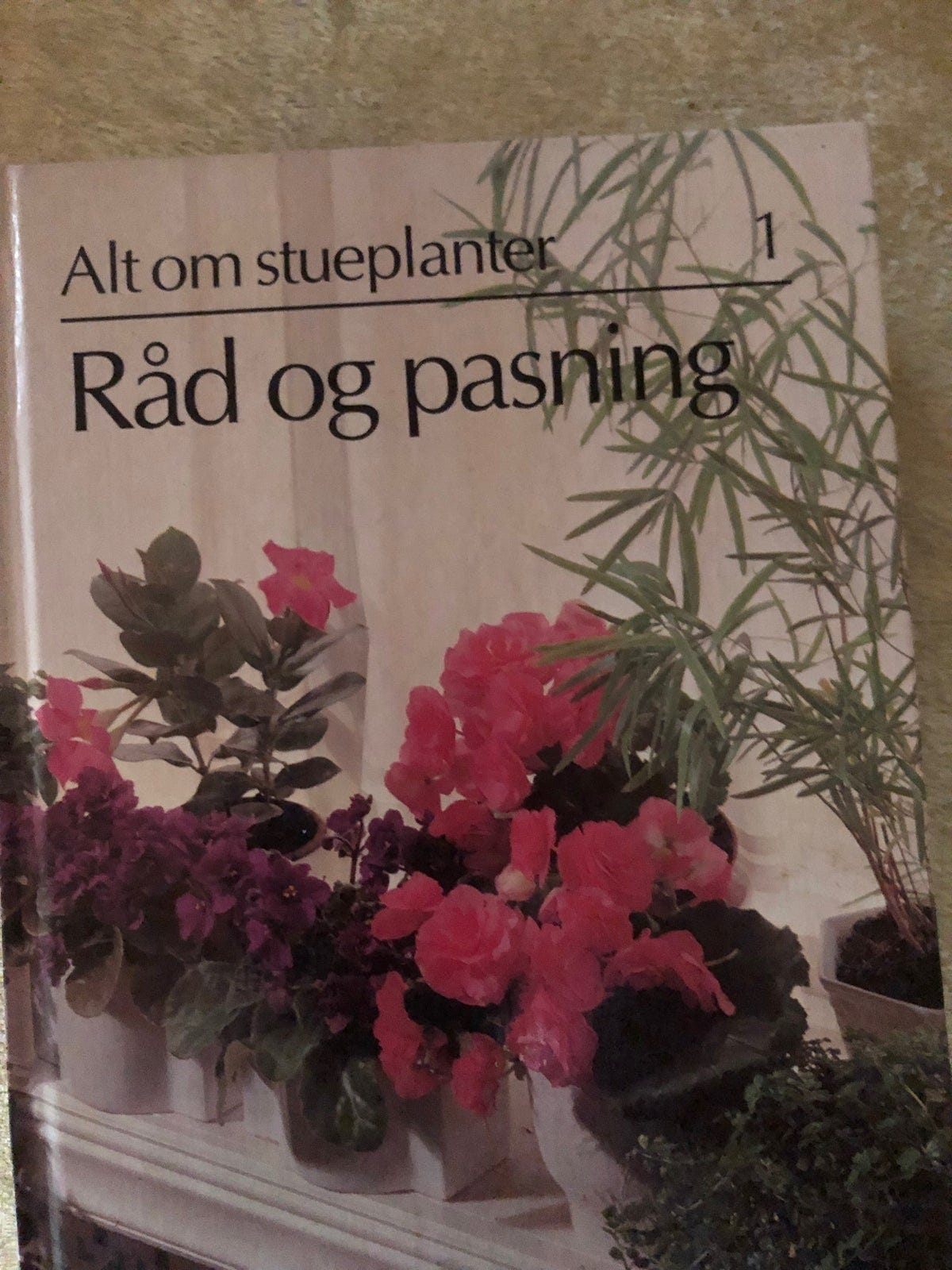 Alt om stueplanter, emne: hus og have | DBA