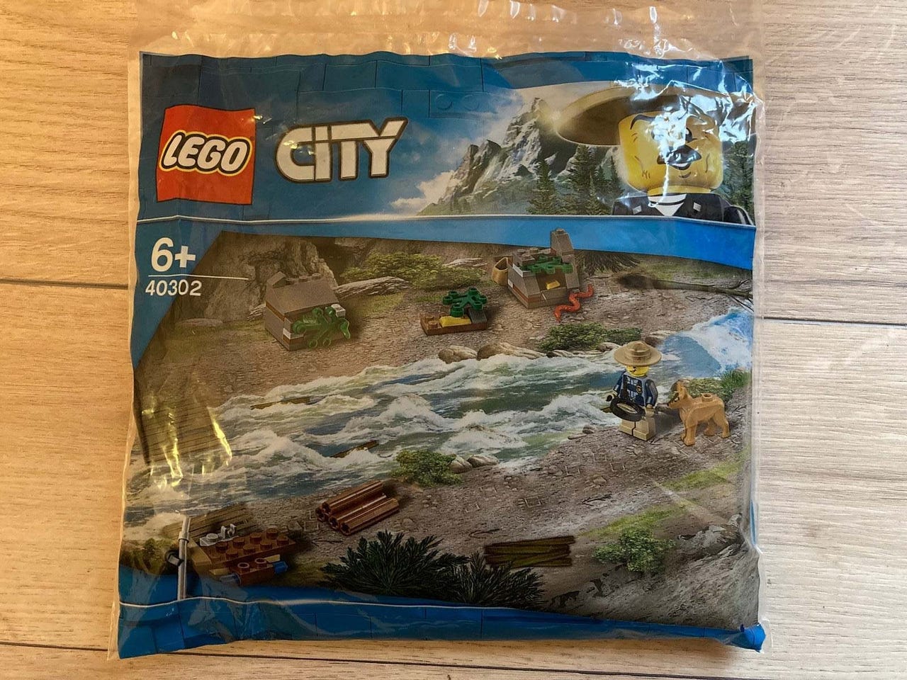 Ny stor pose - Lego City, 40302 | DBA