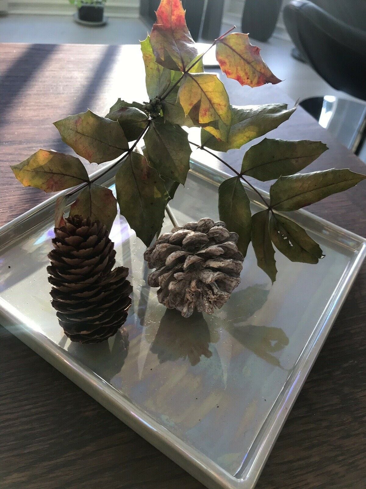 Keramik, Fad til pynt /udstilling , Ved ikke | DBA