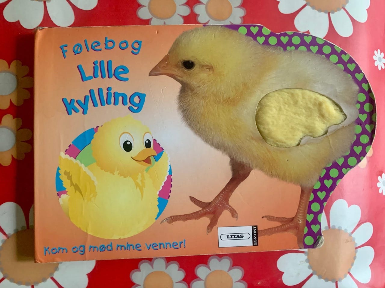 Lille kylling , Følebog - billedbog | DBA