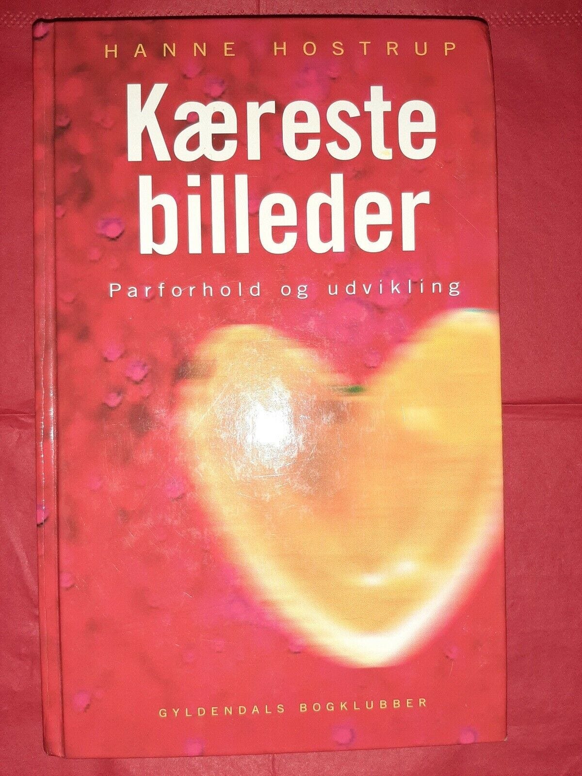 KÆRESTEBILLEDER, Hanne Hostrup, emne: psykologi | DBA