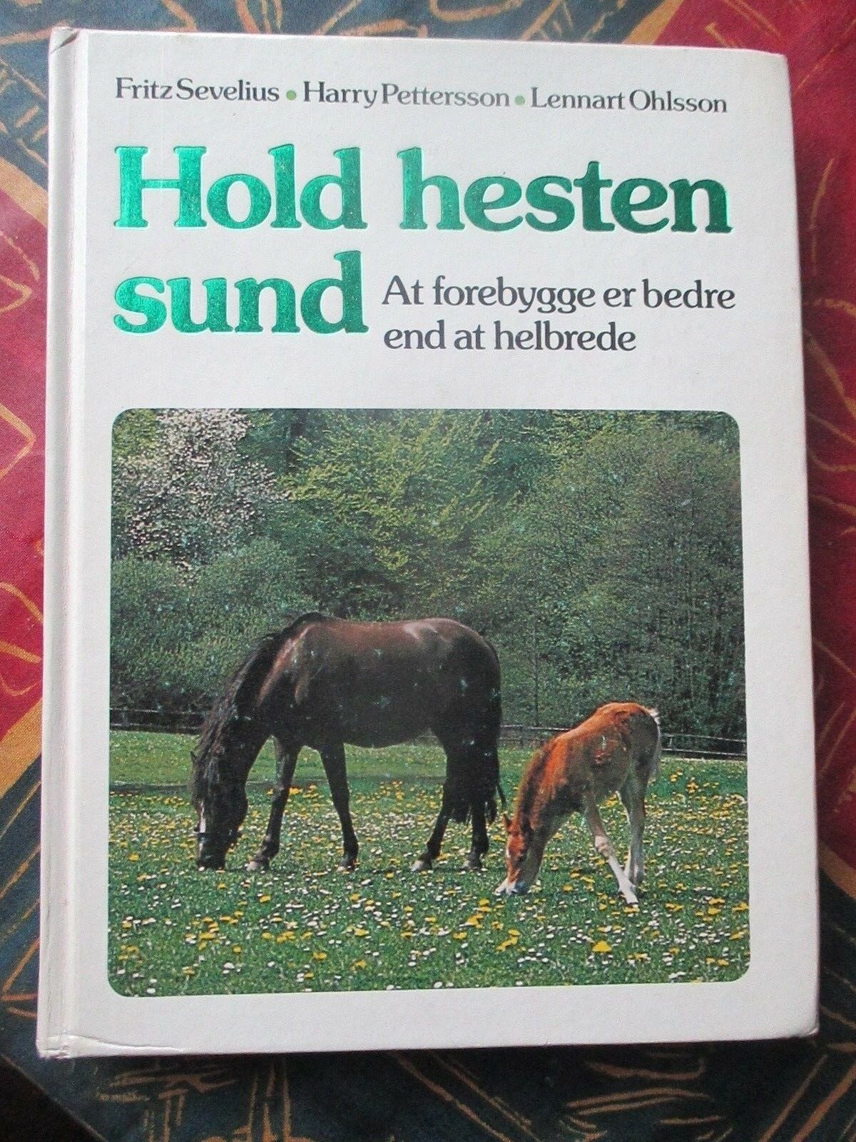 Hold hesten sund, Fritz Sevelius,Harry Pettersson og Lennart Ohlsson ...