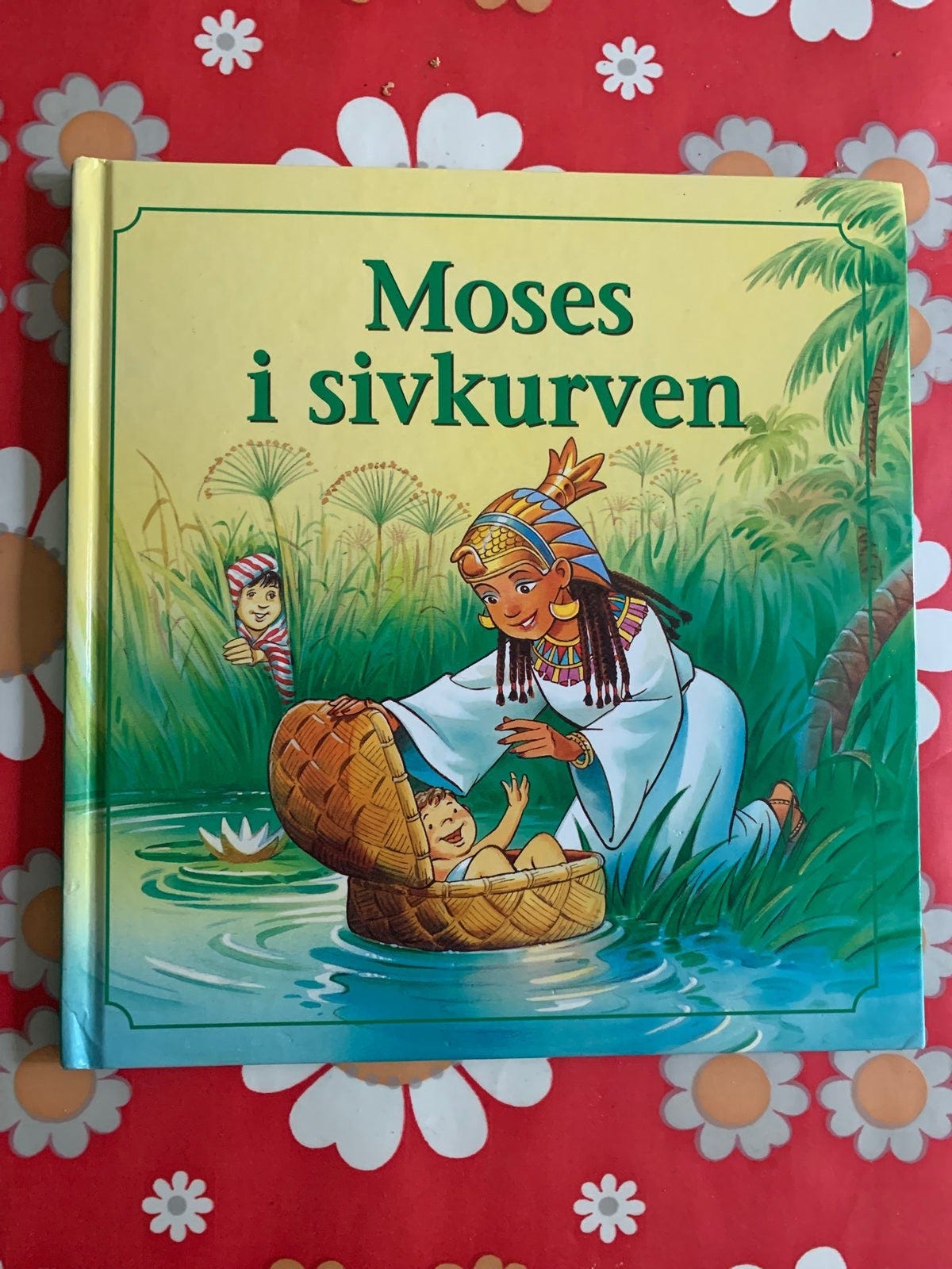 Moses i sivkurven, Raben-Korch, Bente | DBA