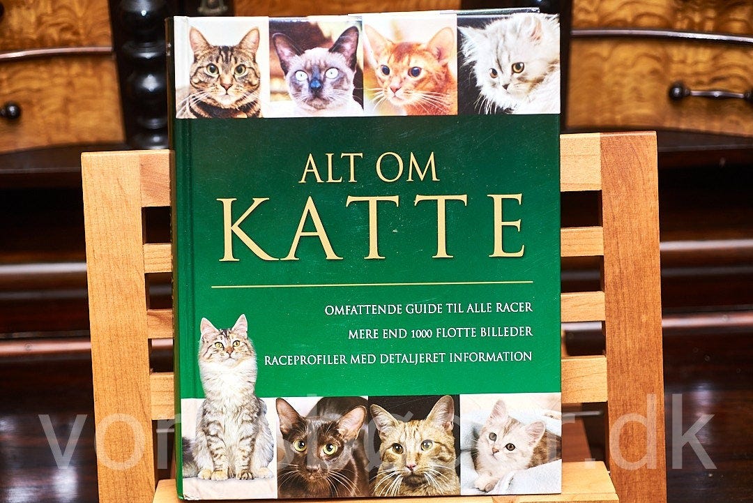 Alt om katte, emne: dyr | DBA