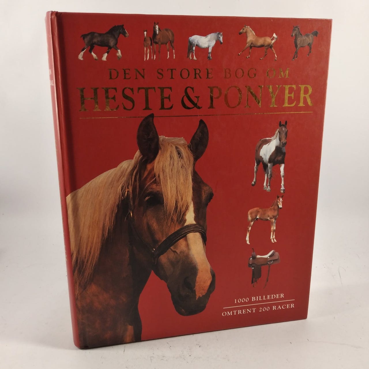 Den store bog om heste og ponyer, emne: dyr | DBA