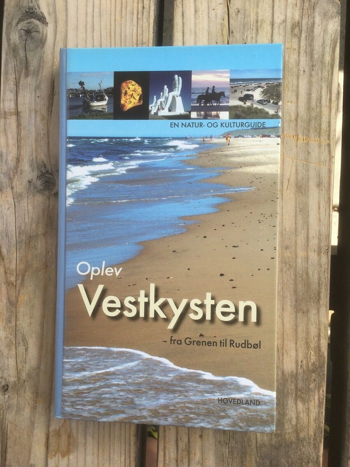 Oplev Vestkysten – fra Grenen til Rudbøl, Søren Olesen, emne ...