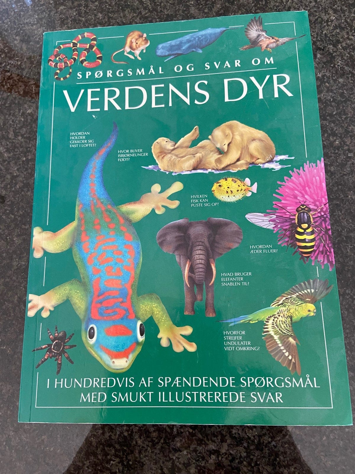 Spørgsmål og svar om Verdens Dyr bog | DBA