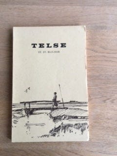 Telse, St. St. Blicher, genre: noveller | DBA