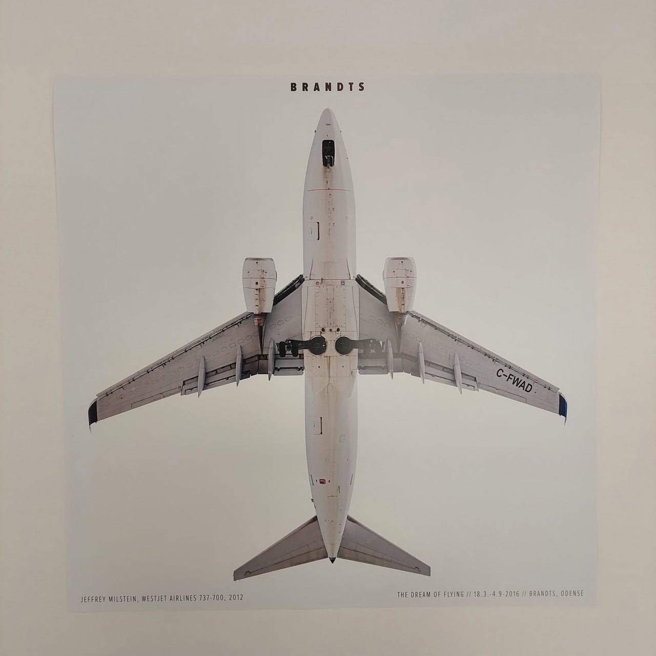 Fede fly plakater, Jeffrey Milstein, b: 50 h: 50 | DBA