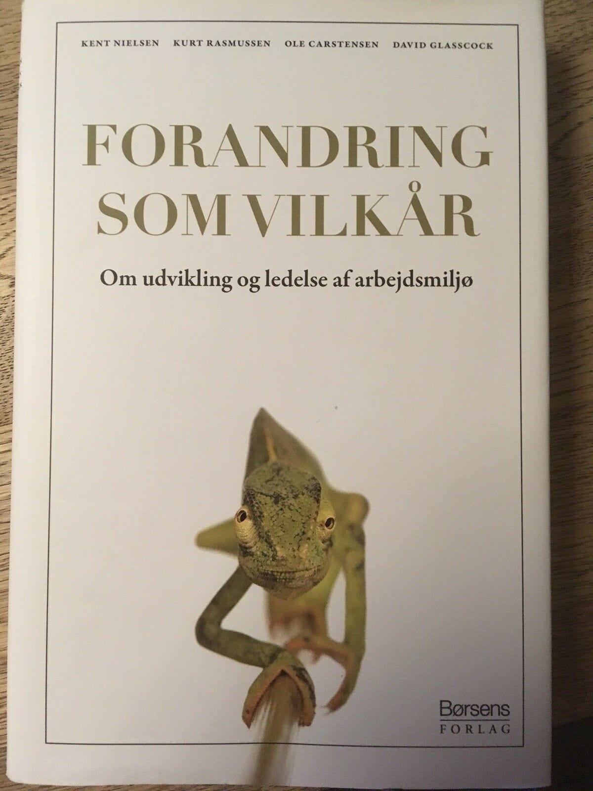 Forandring som vilkår, Kent Nielsen, Kurt Rasmussen | DBA