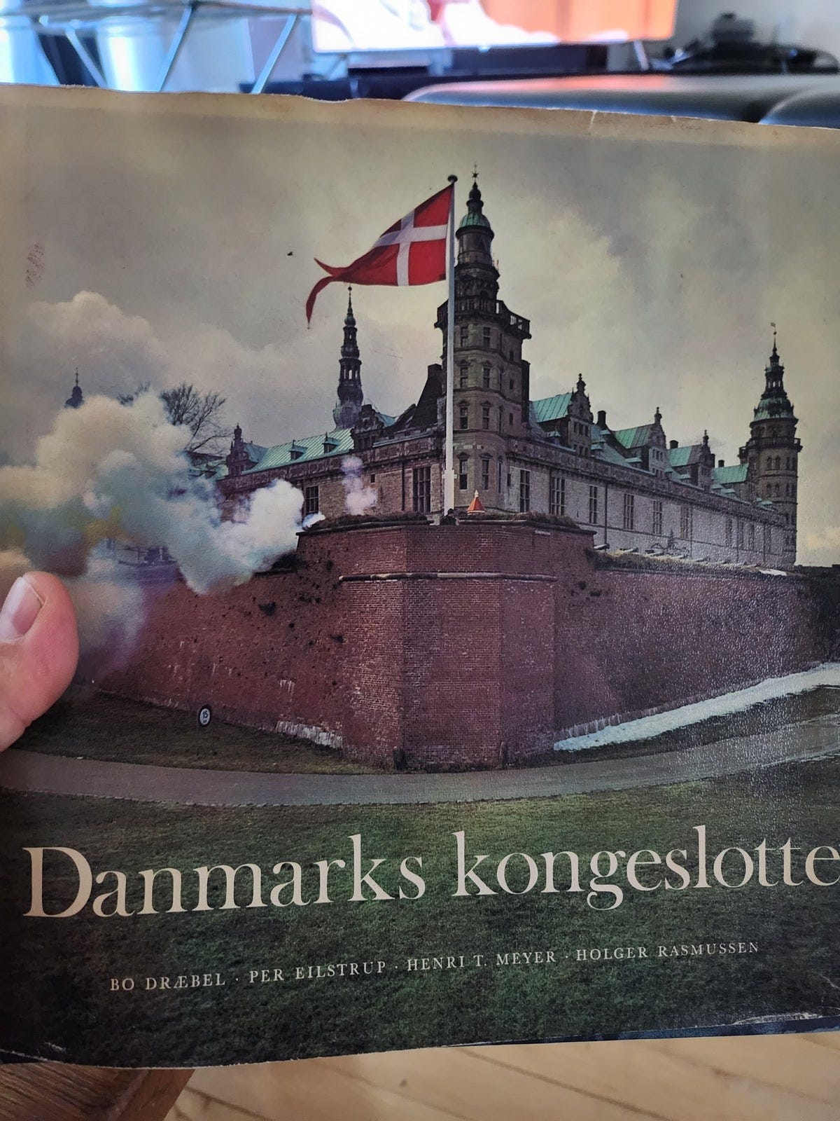 Danmarks kongeslotte, Bo Dræbel, emne: historie og samfund | DBA