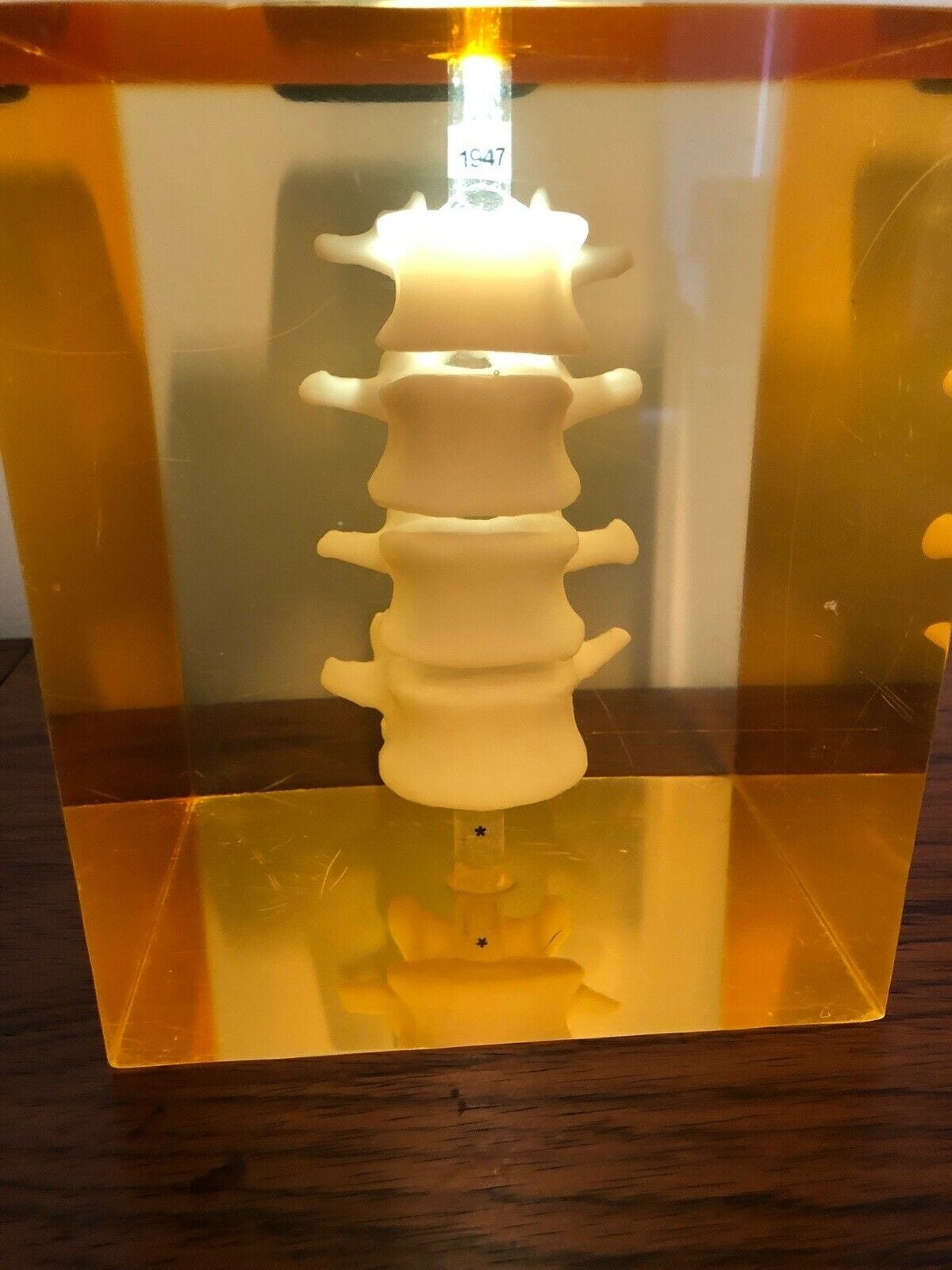 Andre samleobjekter, Hologic DPA/QDR-1 Anthropomorphic Spine Phantom | DBA