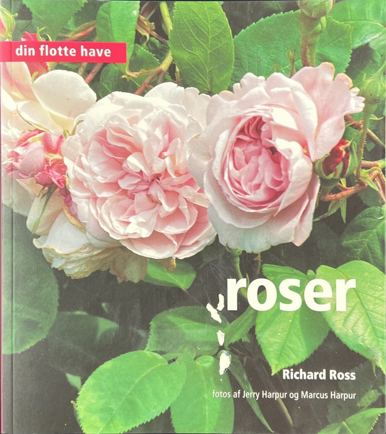 Din flotte have - Roser, Richard Ross, emne: hus og have | DBA