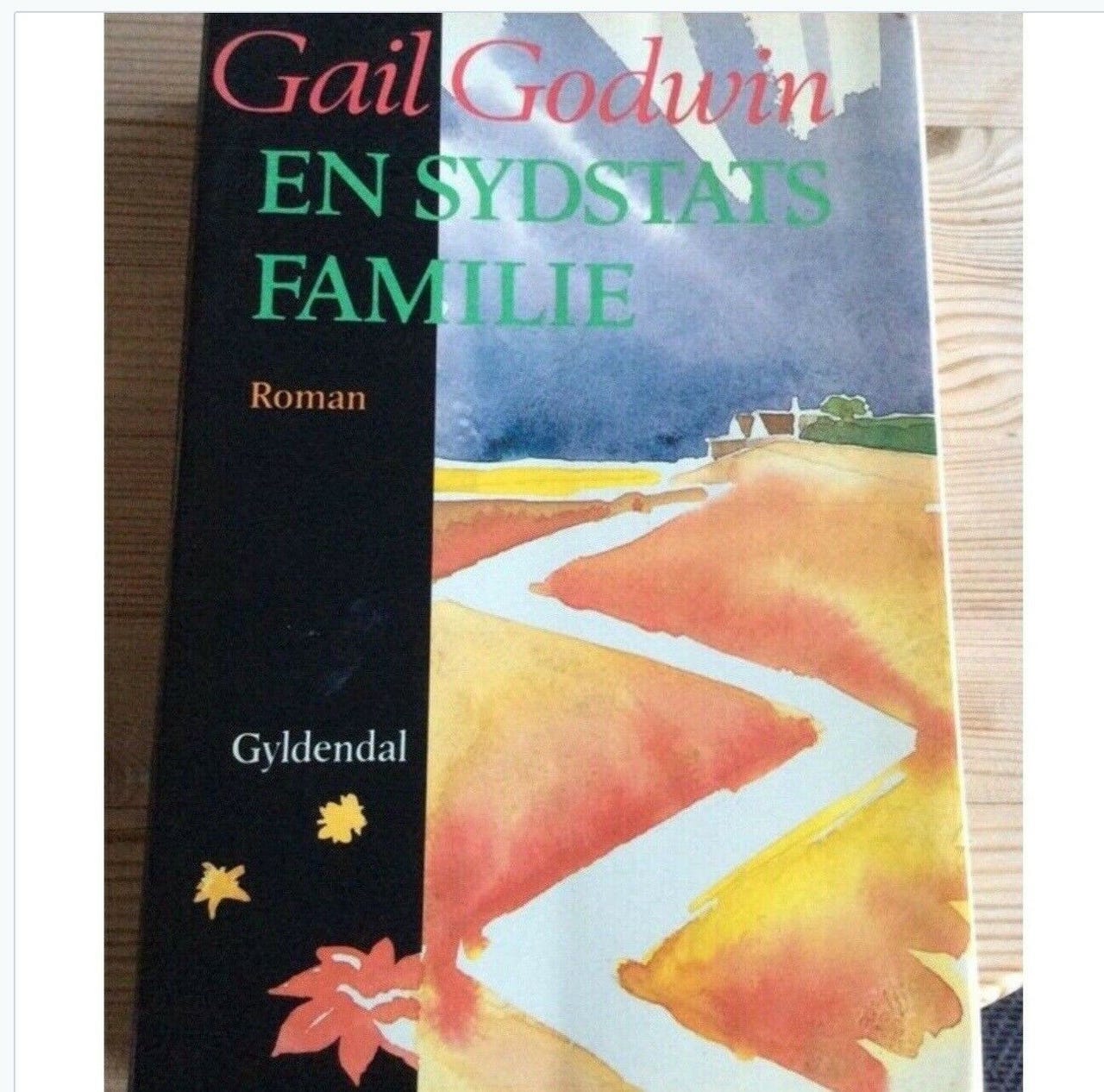En sydstats familie , Gail Godwin , genre: roman | DBA