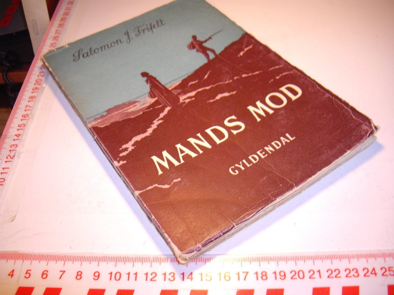 Mands mod, Af Salomon J. Frifelt, genre: noveller | DBA