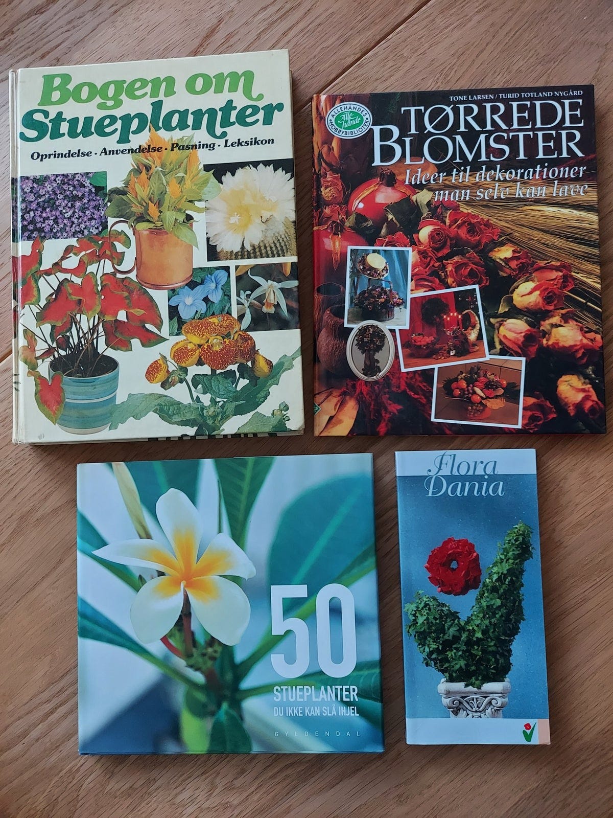 Stueplanter T rrede Blomster DBA stueplanter-t-rrede-blomster-dba