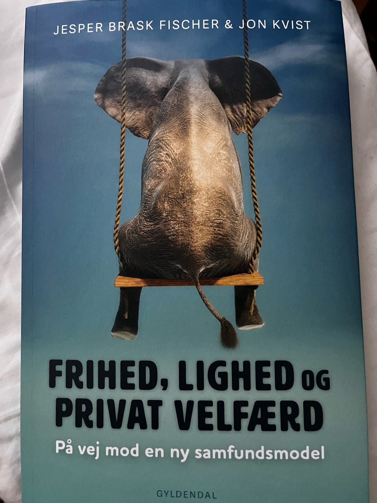 Frihed, Lighed og Privat velfærd, Jesper Brask Fischer & Jon Kvist | DBA