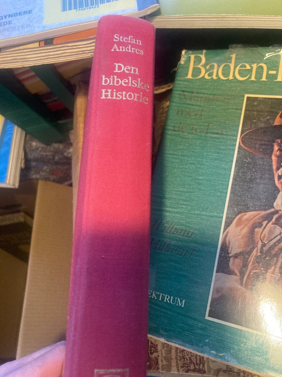 Den bibelske Historie fortalt af Stefan Andres | DBA