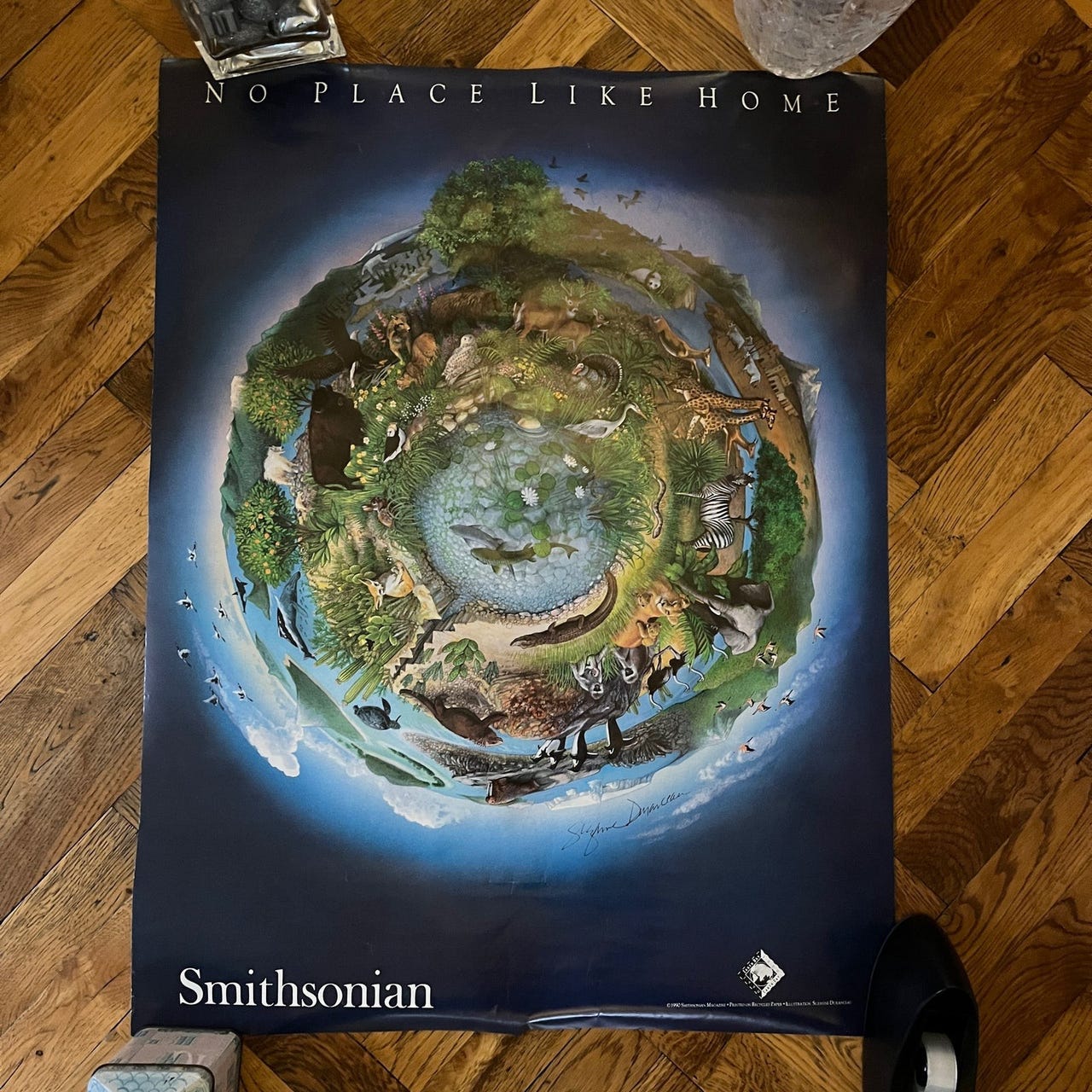 Plakat, Smithsonian, motiv: “No Place Like Home” – Earth Day 1990 | DBA
