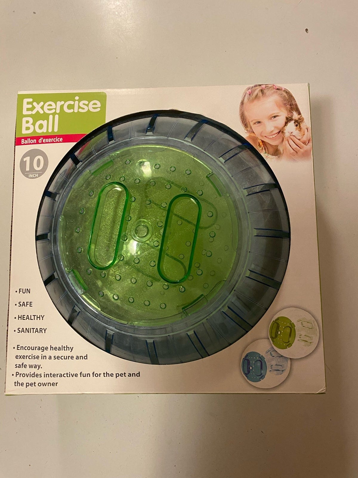 Aktivitetsbold til marsvin | DBA