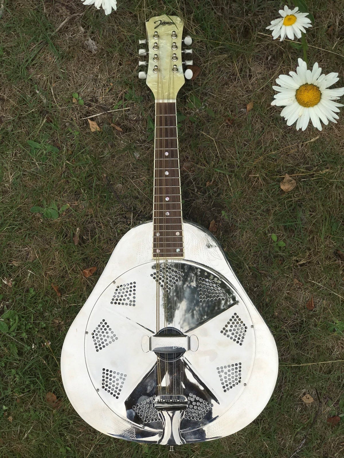 Resonator Mandolin (ikke National), Johnson Resonator Mandolin | DBA