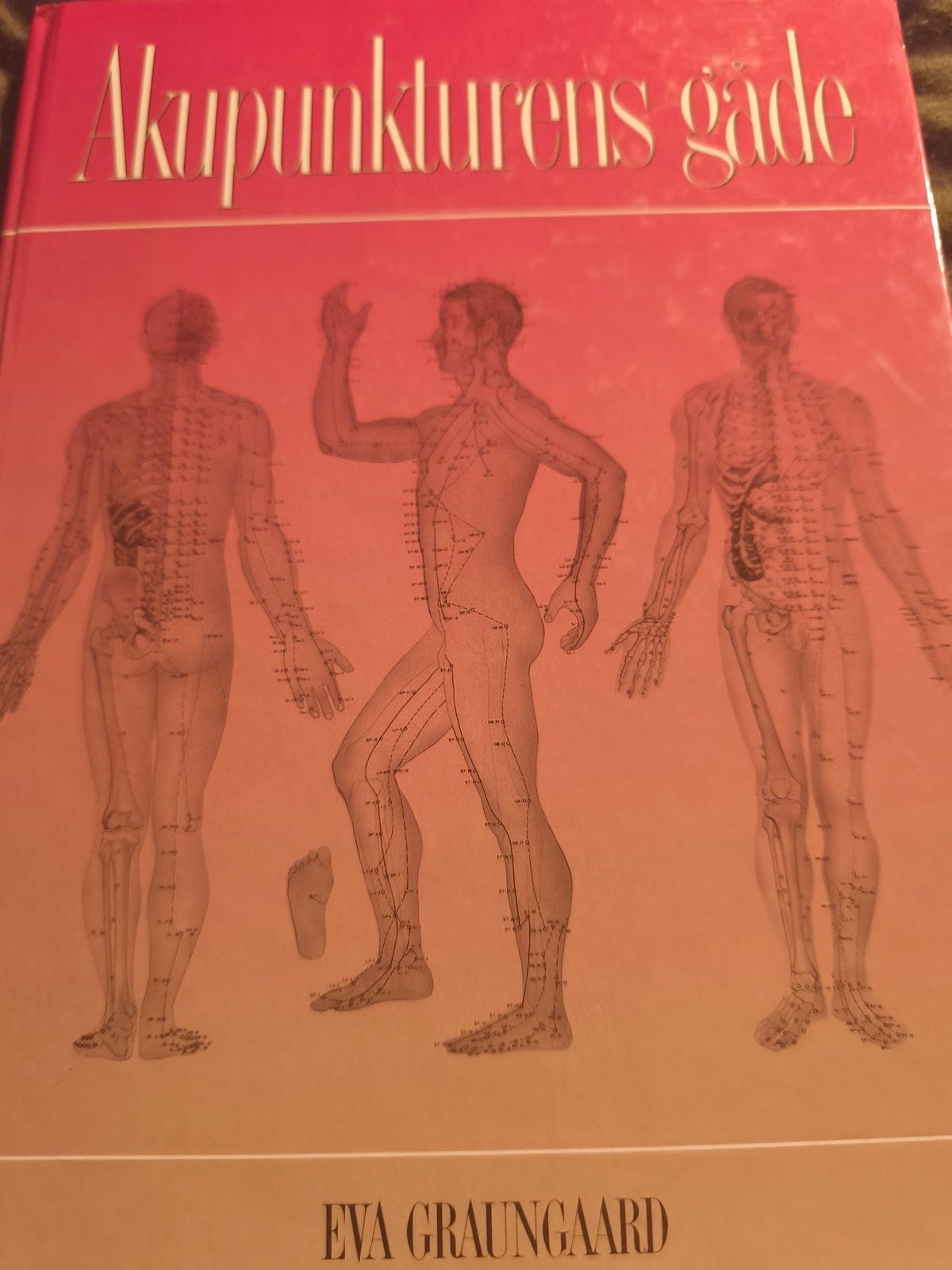 Akupunkturens gåde, Eva Graungaard, emne: anden kategori | DBA