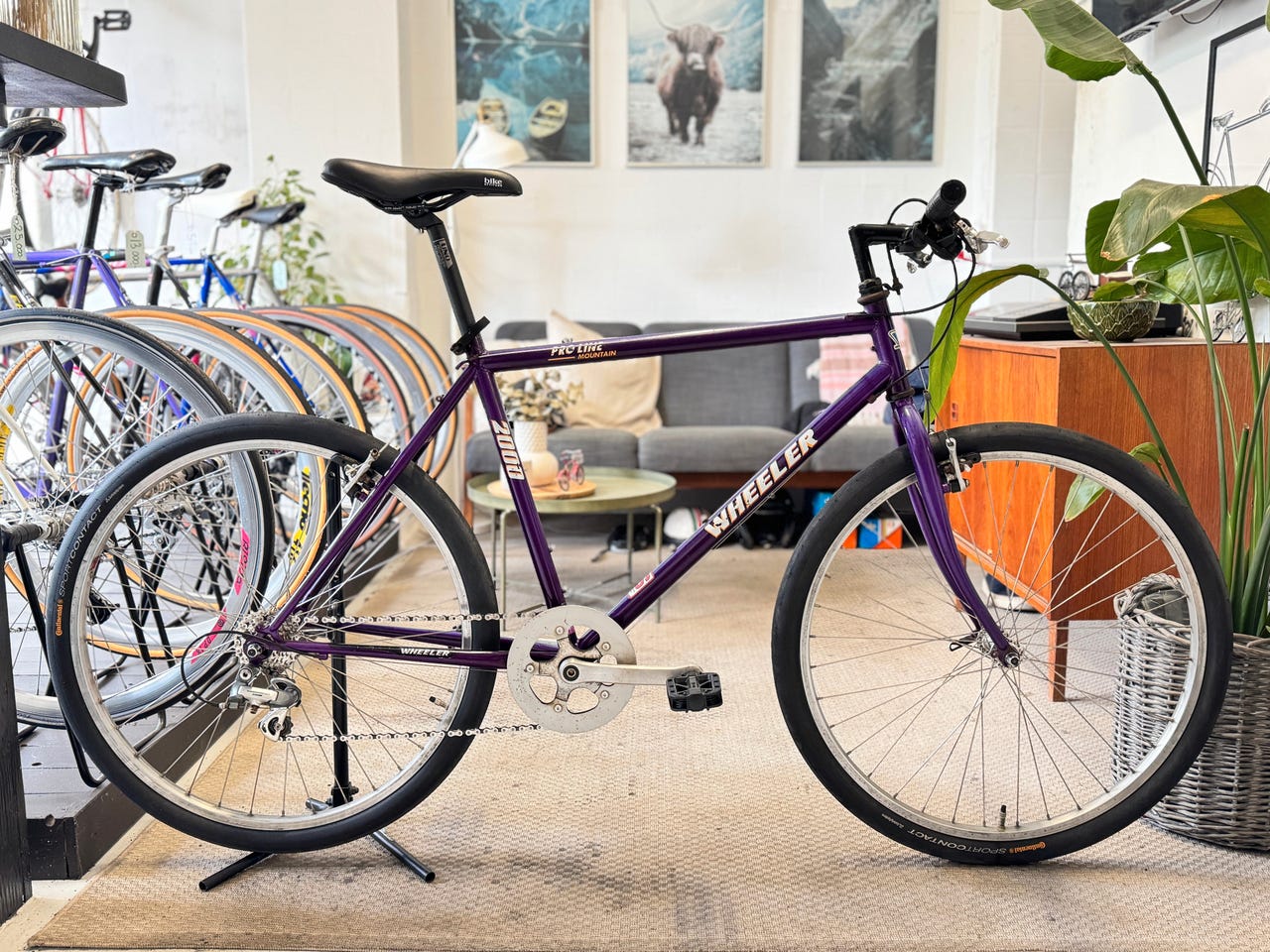 Wheeler ProLine vintage Mountainbike | DBA