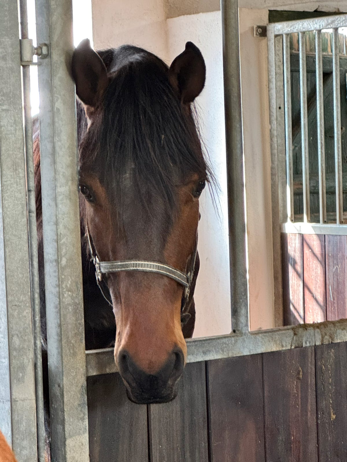 2-års efter BH Farrell | DBA