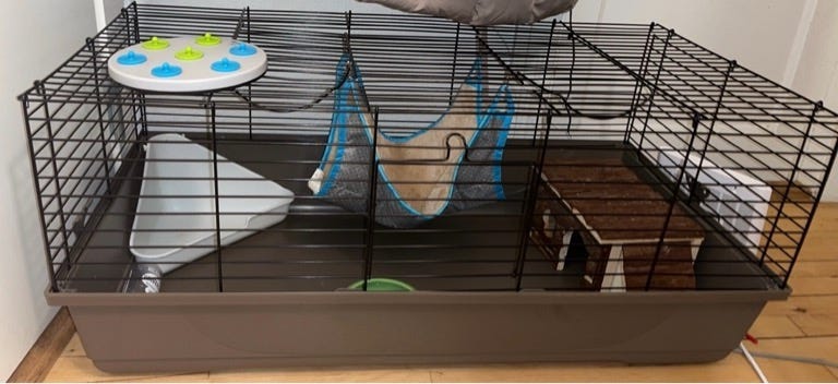 Gnaverbur, kanin/marsvin/rotter/pindsvin | DBA