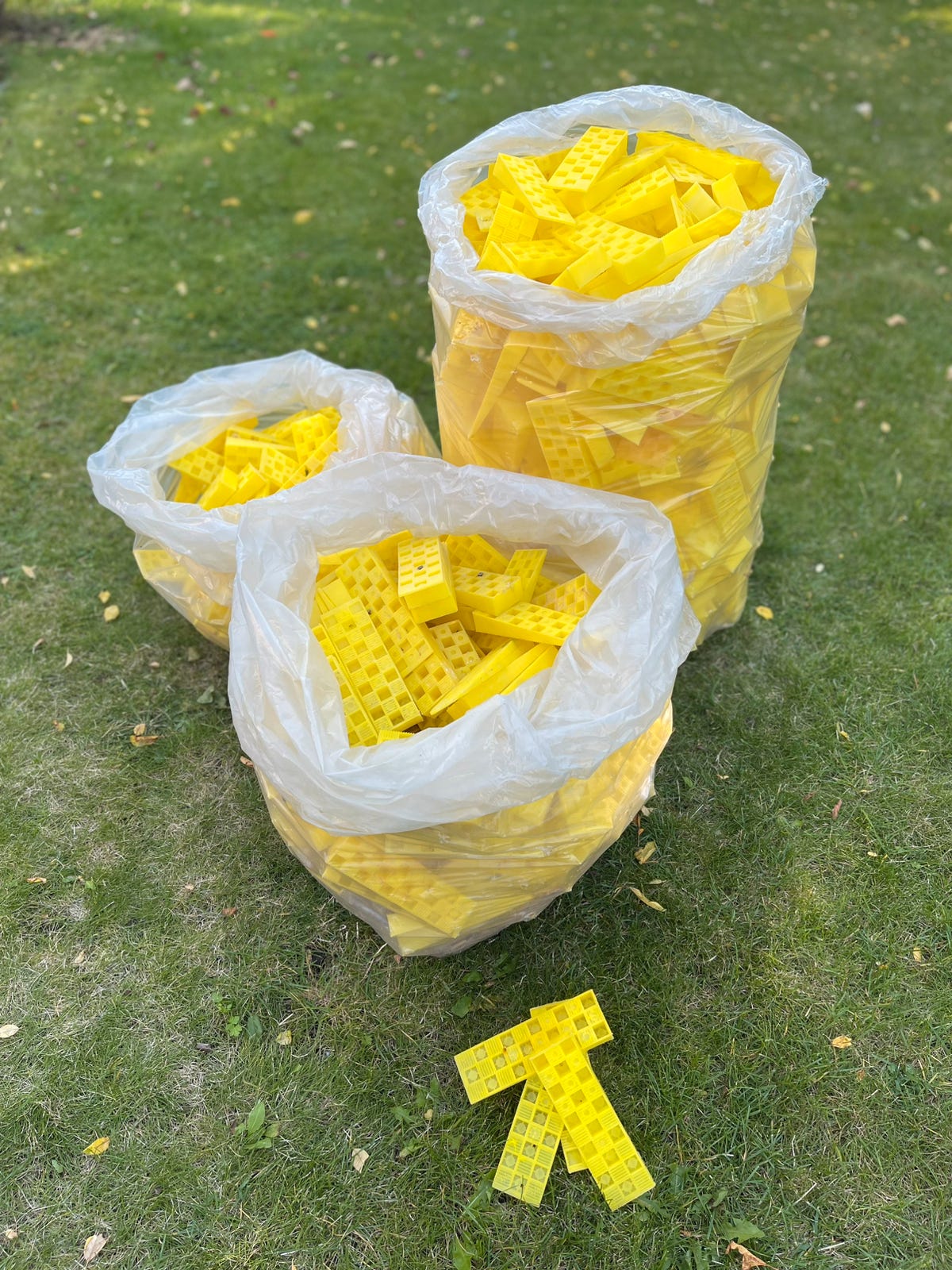 KNUDSEN GULE KILER | DBA