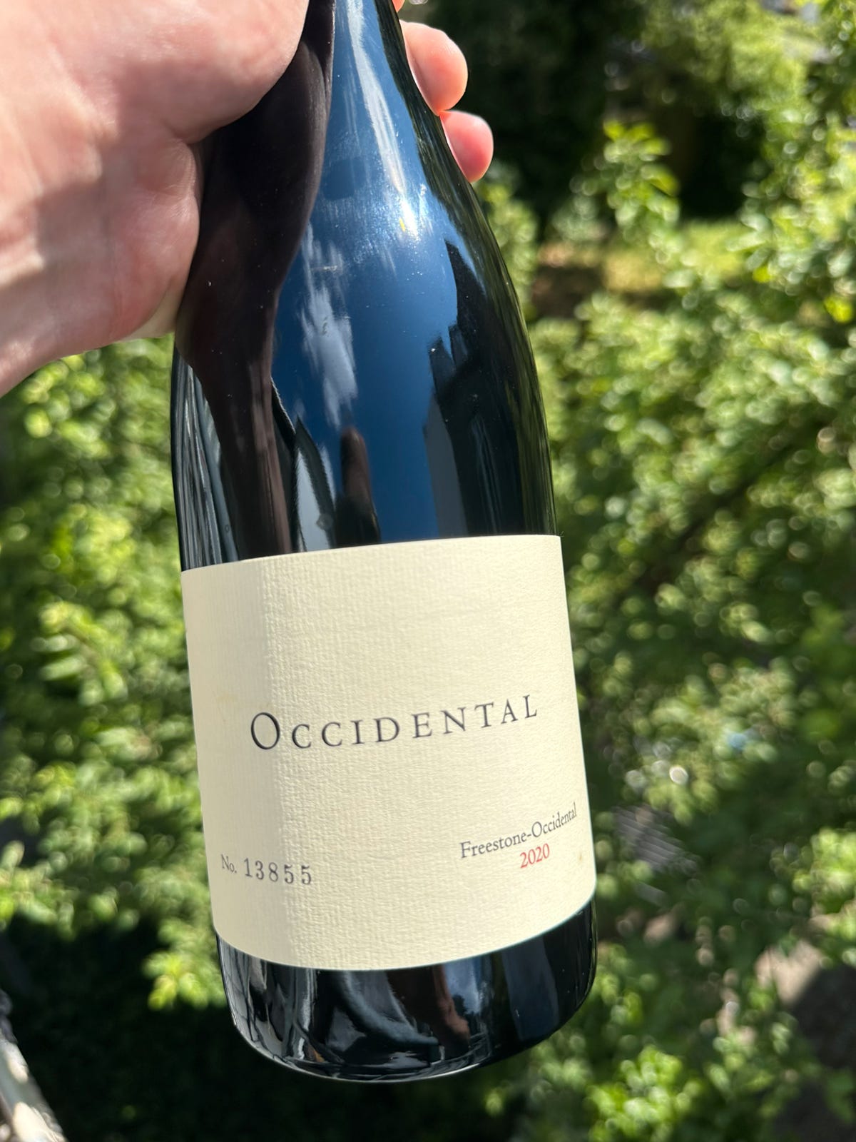 Stephan Kistler TOP-PINOT fra 2020 | DBA