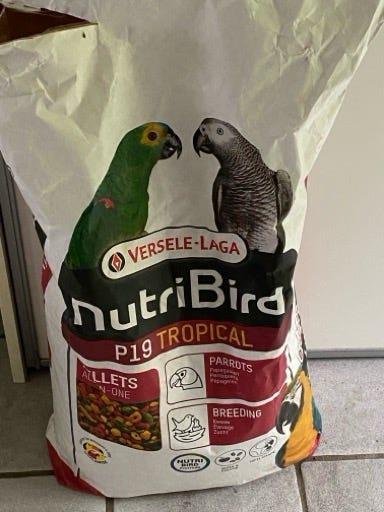 Pellets P19 Tropical | DBA