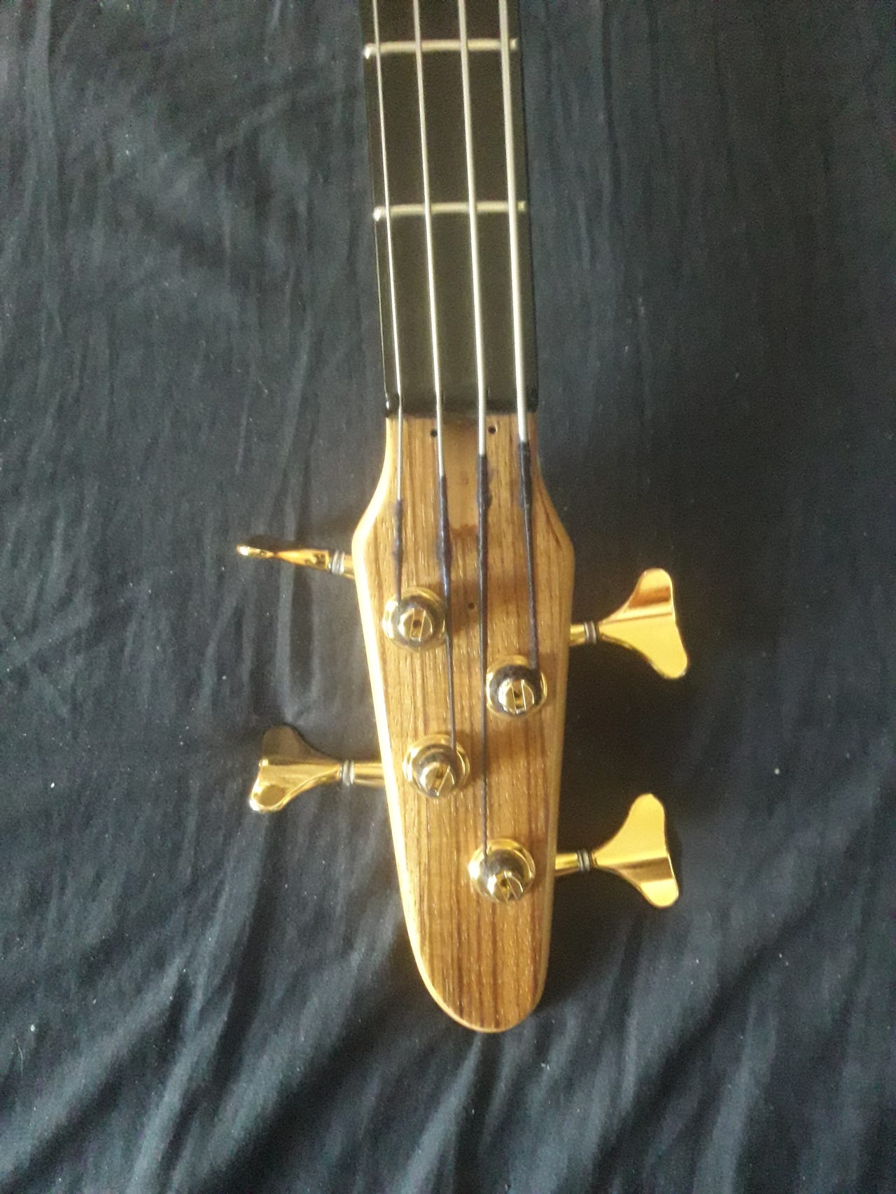 Collection Bass Active | DBA