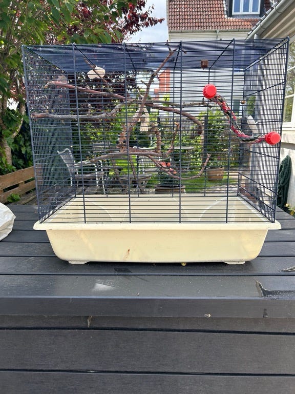 Fuglebur i god stand og størrelse | DBA