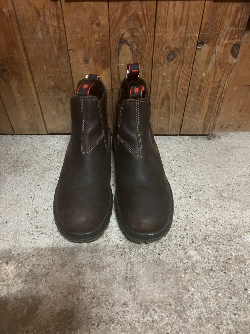 Redback boots | DBA