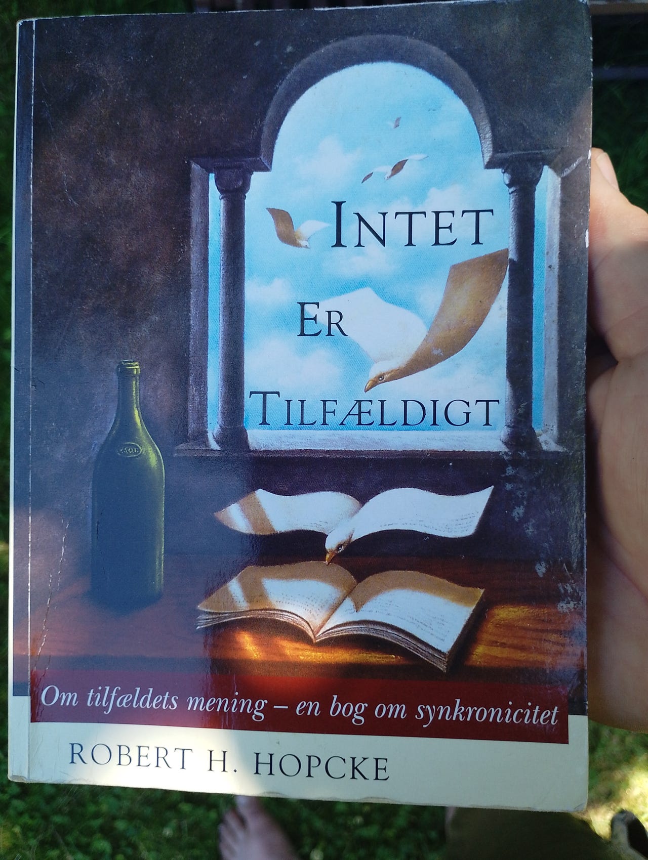 Robert H. Hopcke - Intet er tilfældigt | DBA