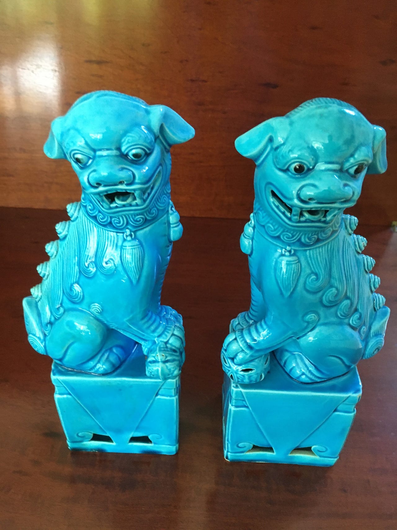 Foo Dog | DBA