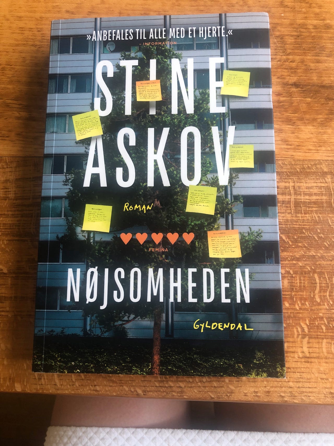 Stine Askov Nøjsomheden | DBA
