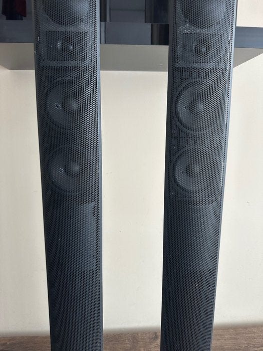 Bang & Olufsen - BeoLab 6000 Industri - Bluetooth- og WiFi-muligheder ...