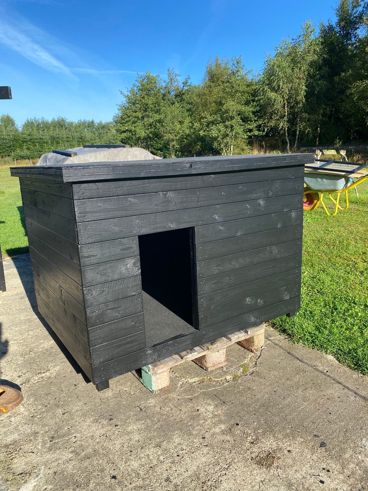 Stort hundehus | DBA