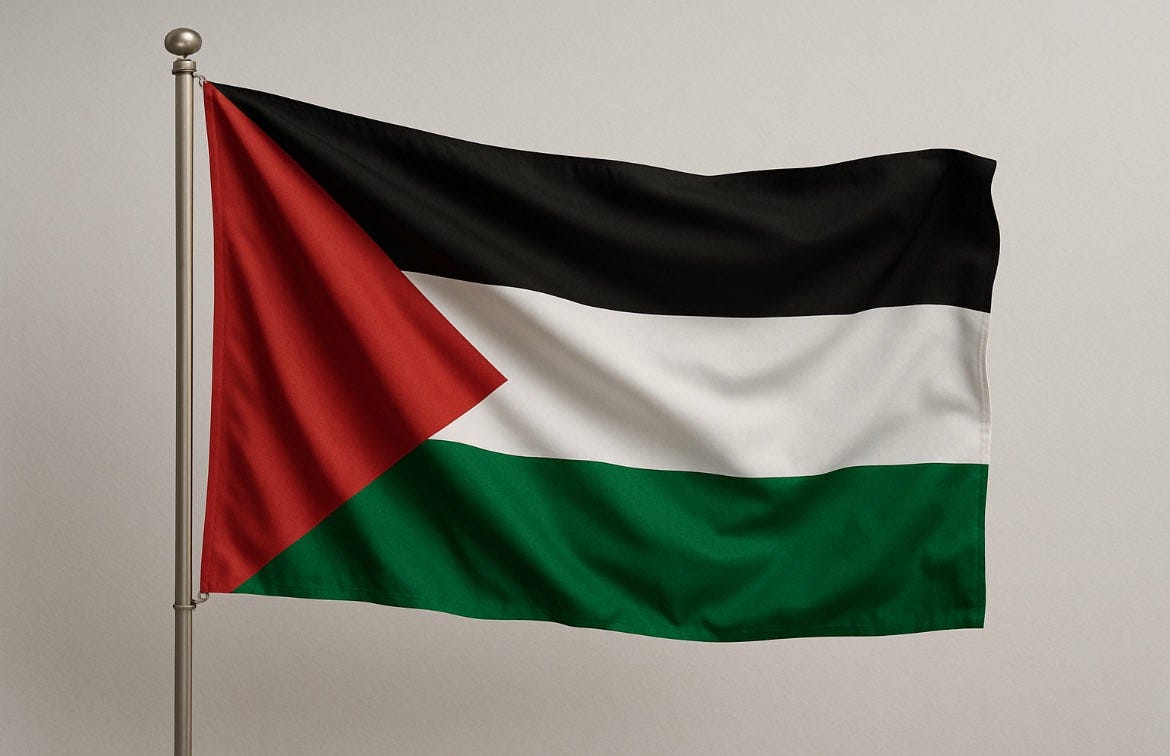 Palæstina Flag | DBA