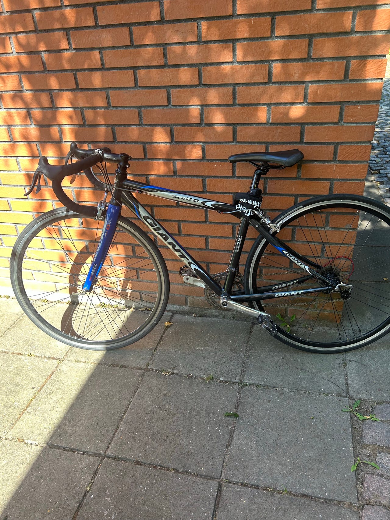 Giant SCR Racercykel - 140-150 cm | DBA