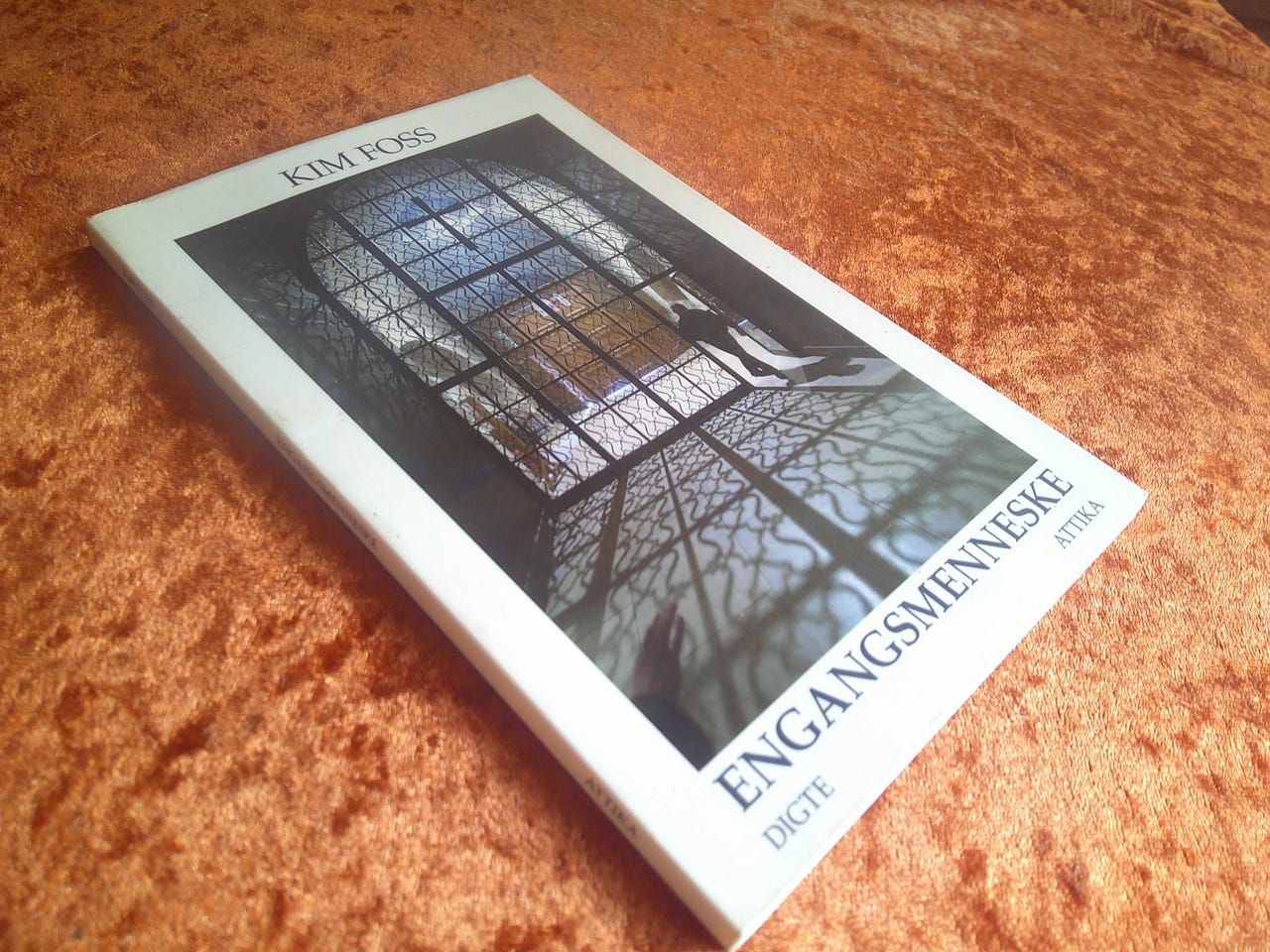 Engangsmenneske, Kim Foss, genre: digte, | DBA