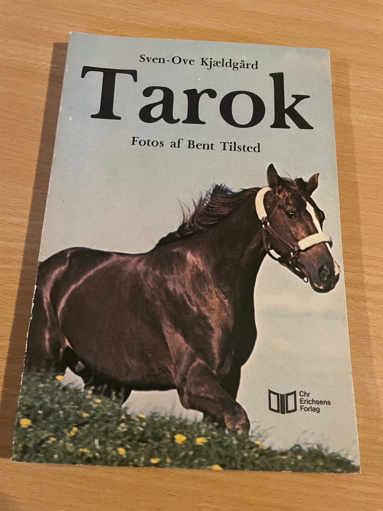 Tarok | DBA