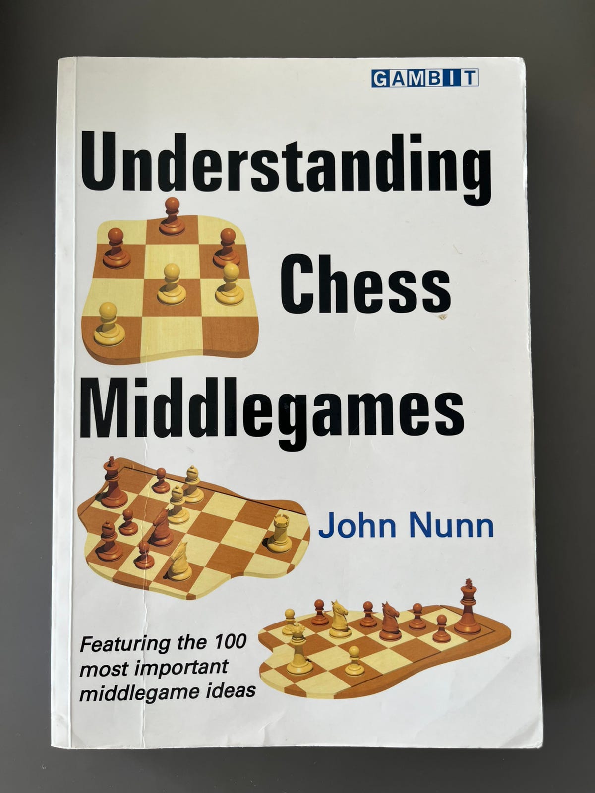 Understanding Chess Middlegamle : John Nunn | DBA