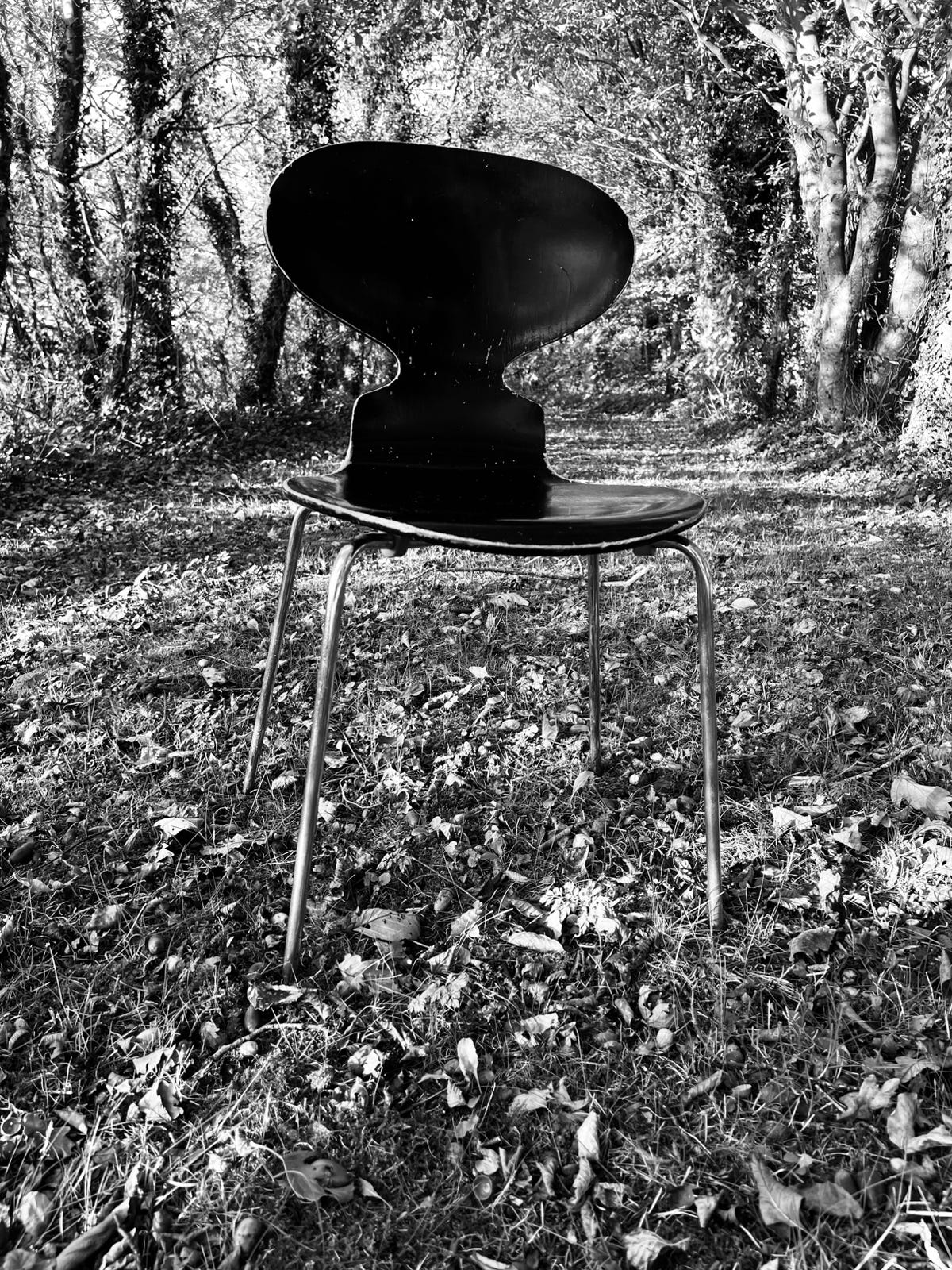 Fritz Hansen - Myren stol model 3101 – Arne Jacobsen | DBA