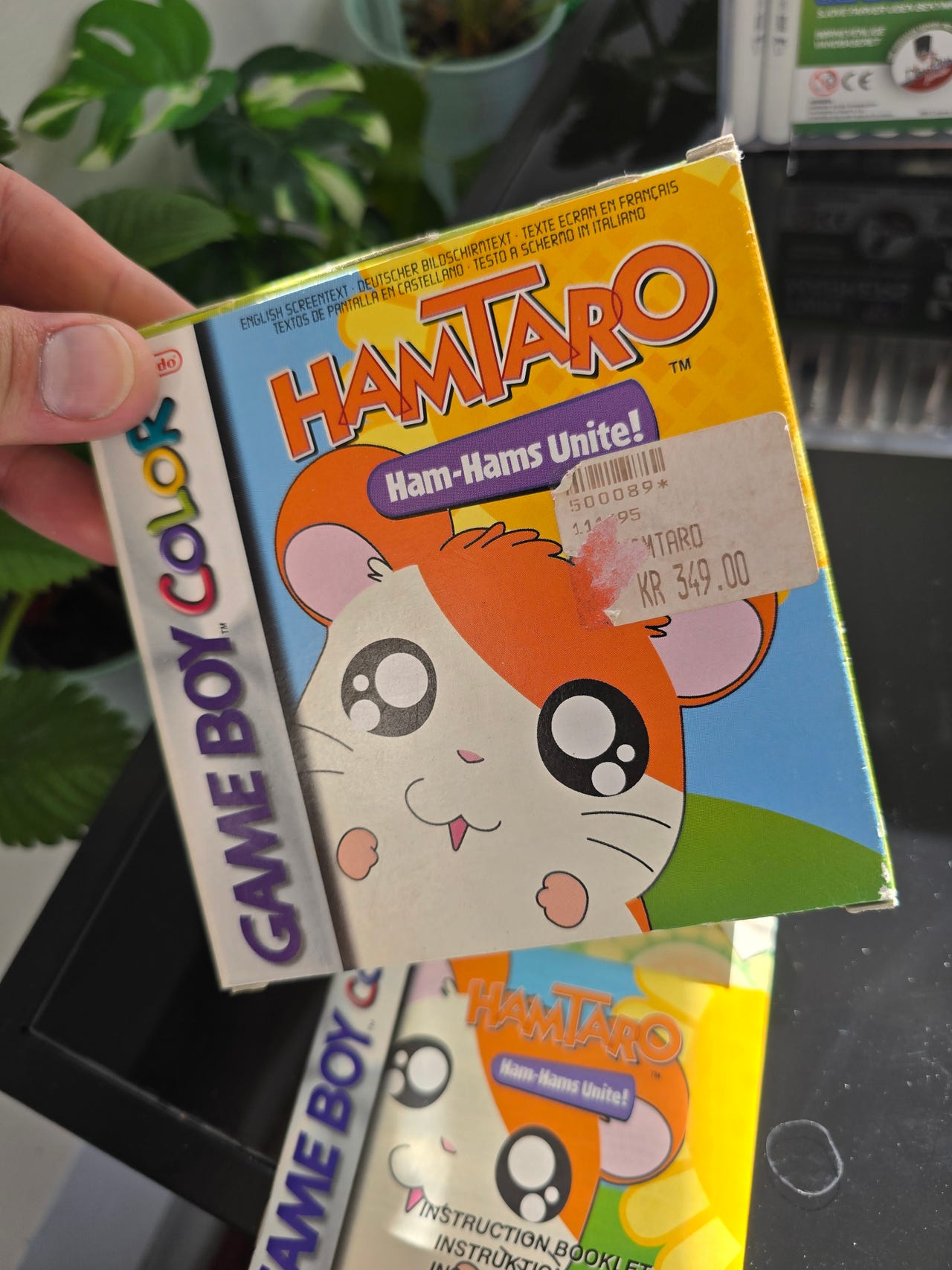 Hamtaro gameboy color | DBA
